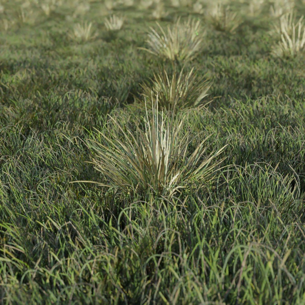 Grass Alpine Bunch Small | Grass models | BlenderKit
