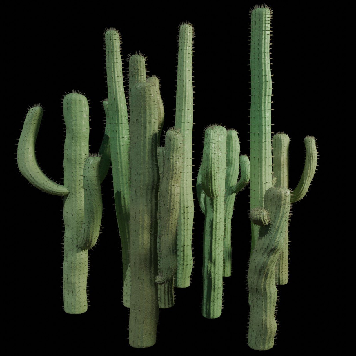Arrangement of 11 different Cactus | Plants models | BlenderKit