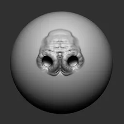 NS Creature Nose round pig | 3D anatomy brushes | BlenderKit