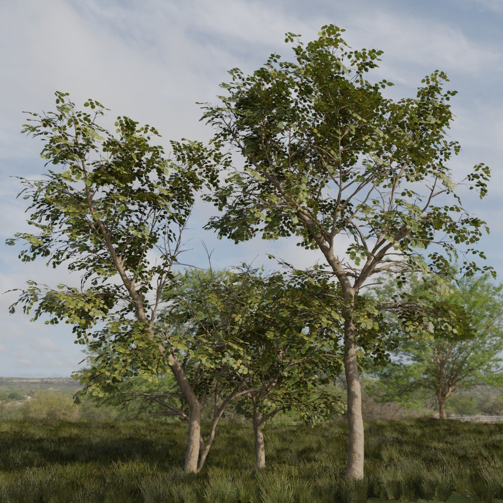 Broadleaf Dense Tree Group | Trees models | BlenderKit