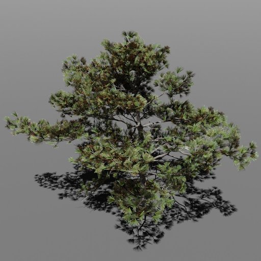 Cut log 04 - remeshed photoscan | FREE Trees models | BlenderKit