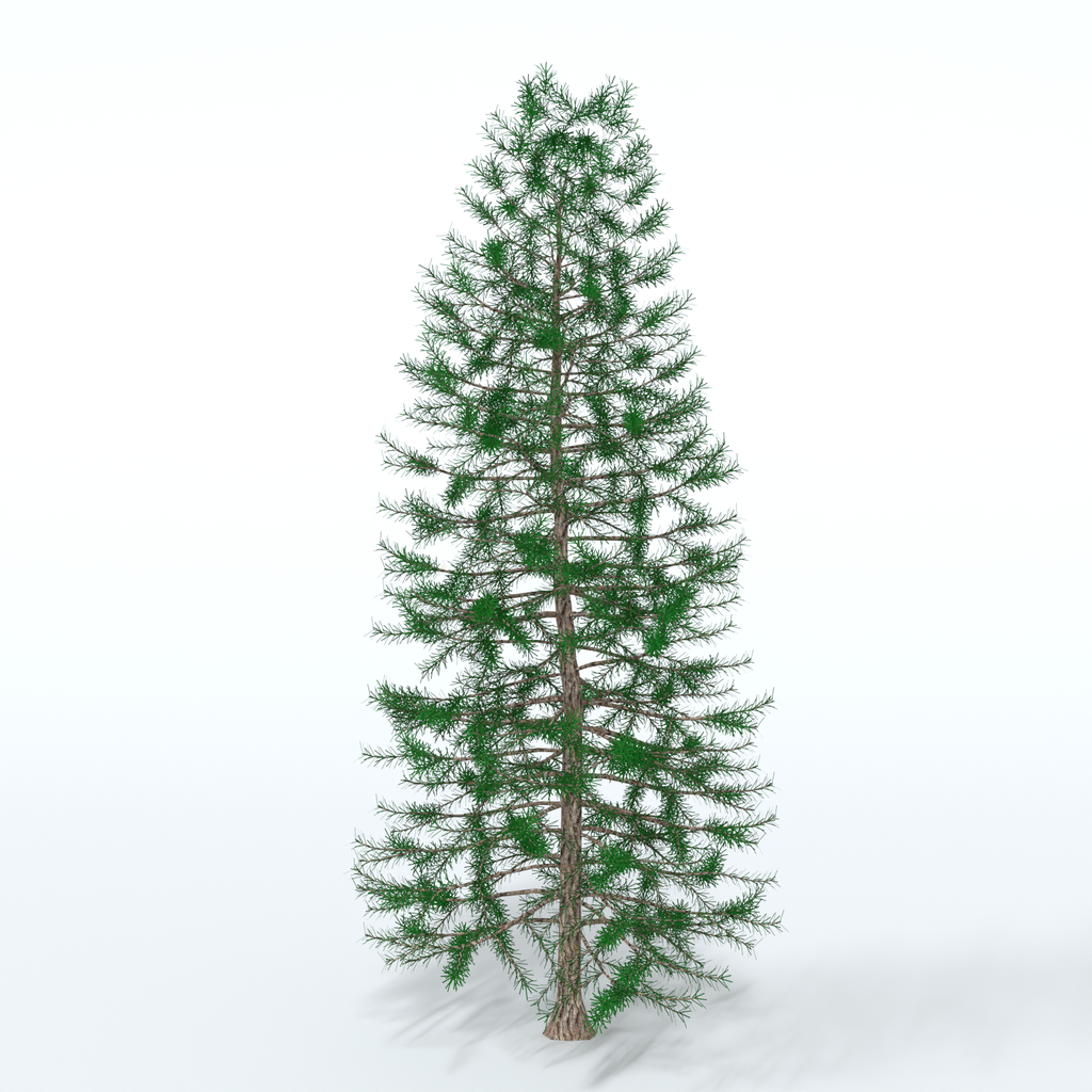 Pine Tree | Trees models | BlenderKit