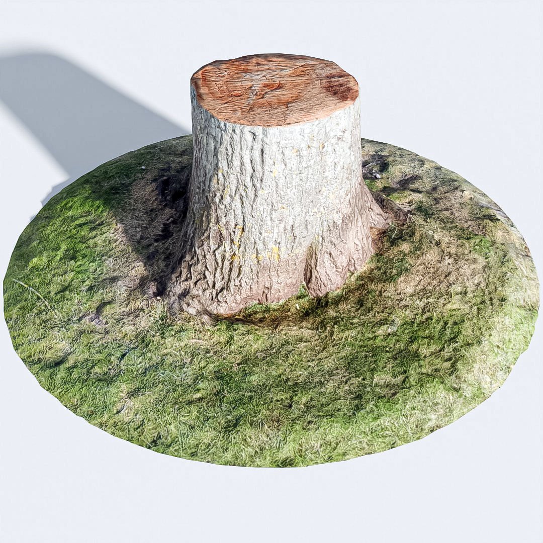 Tree Stump | Trees models | BlenderKit