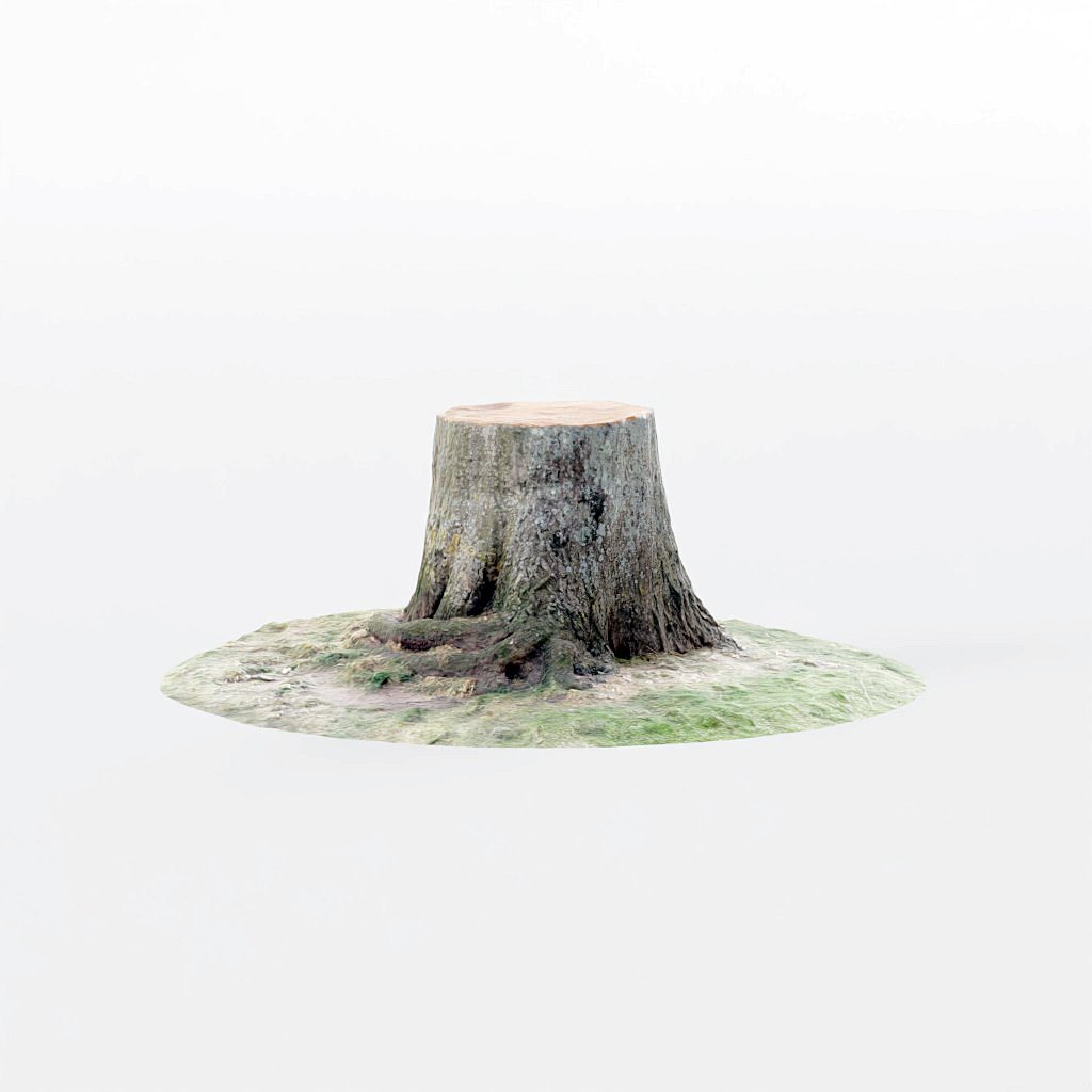 Tree Stump | Trees models | BlenderKit