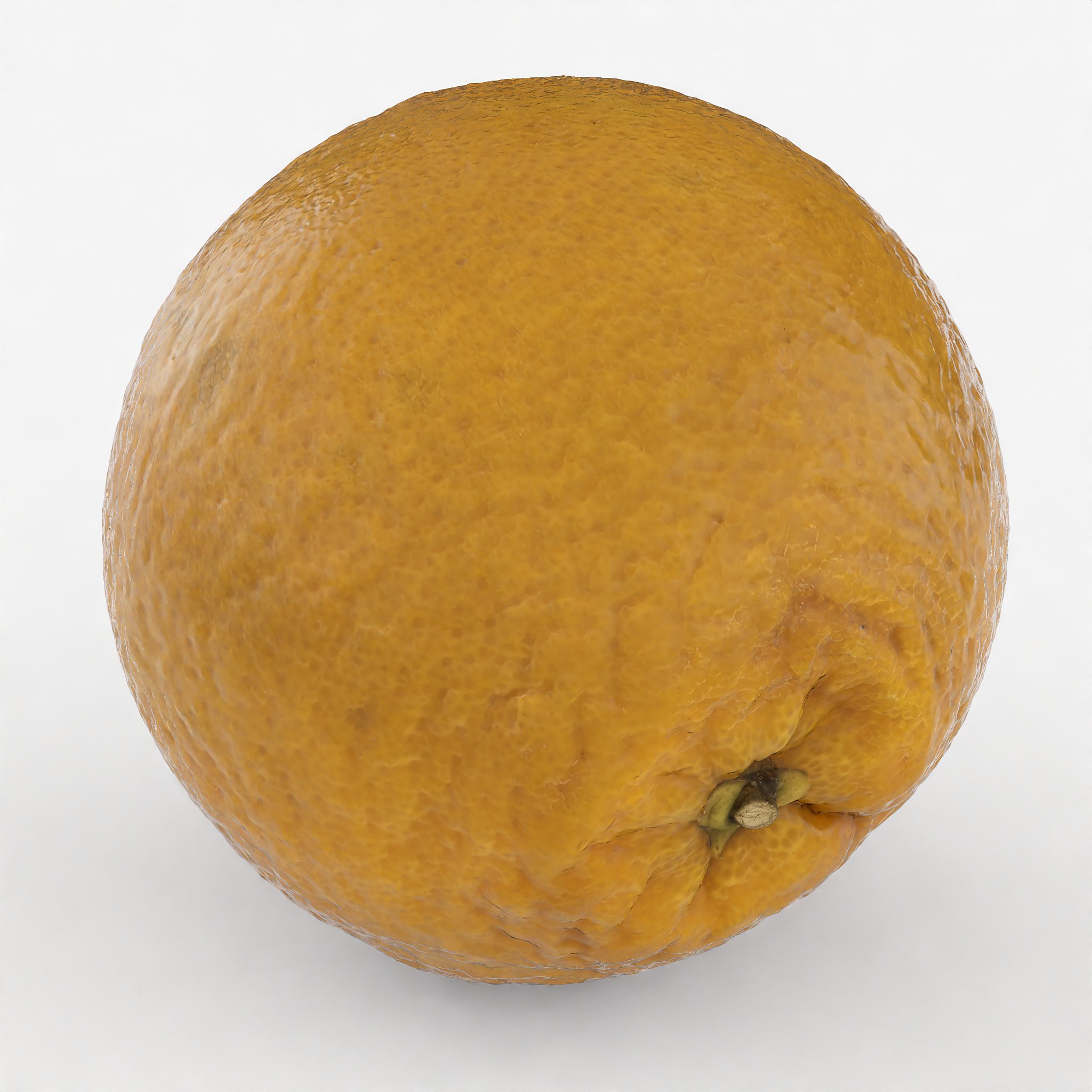 Orange fruit realistic juicy food | Fruit & Vegetables models | BlenderKit