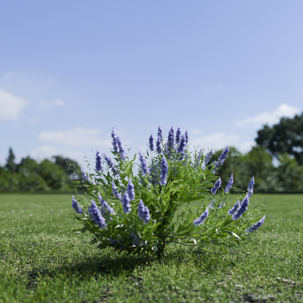 Shurb Spirea Care Blue Mist Animated | Outdoor Plants models | BlenderKit