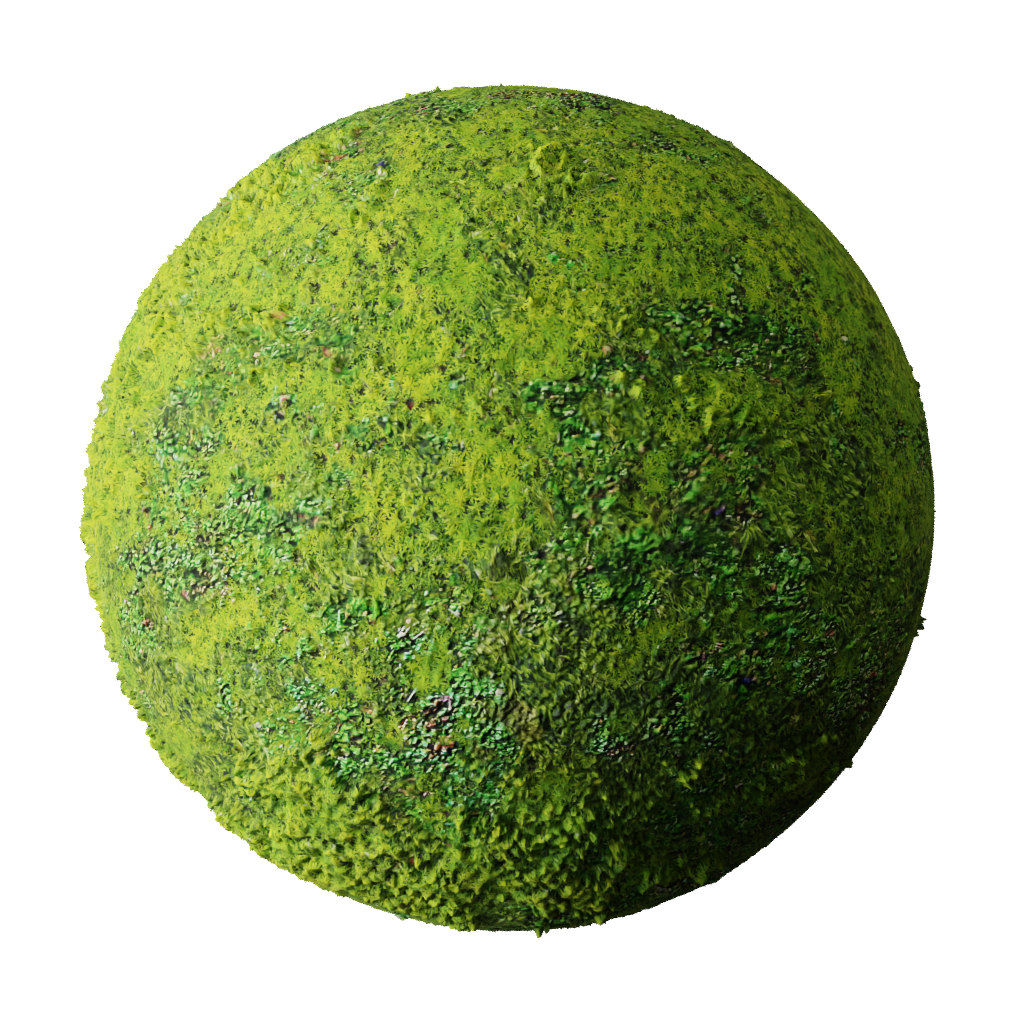 Moss | FREE organic materials | BlenderKit