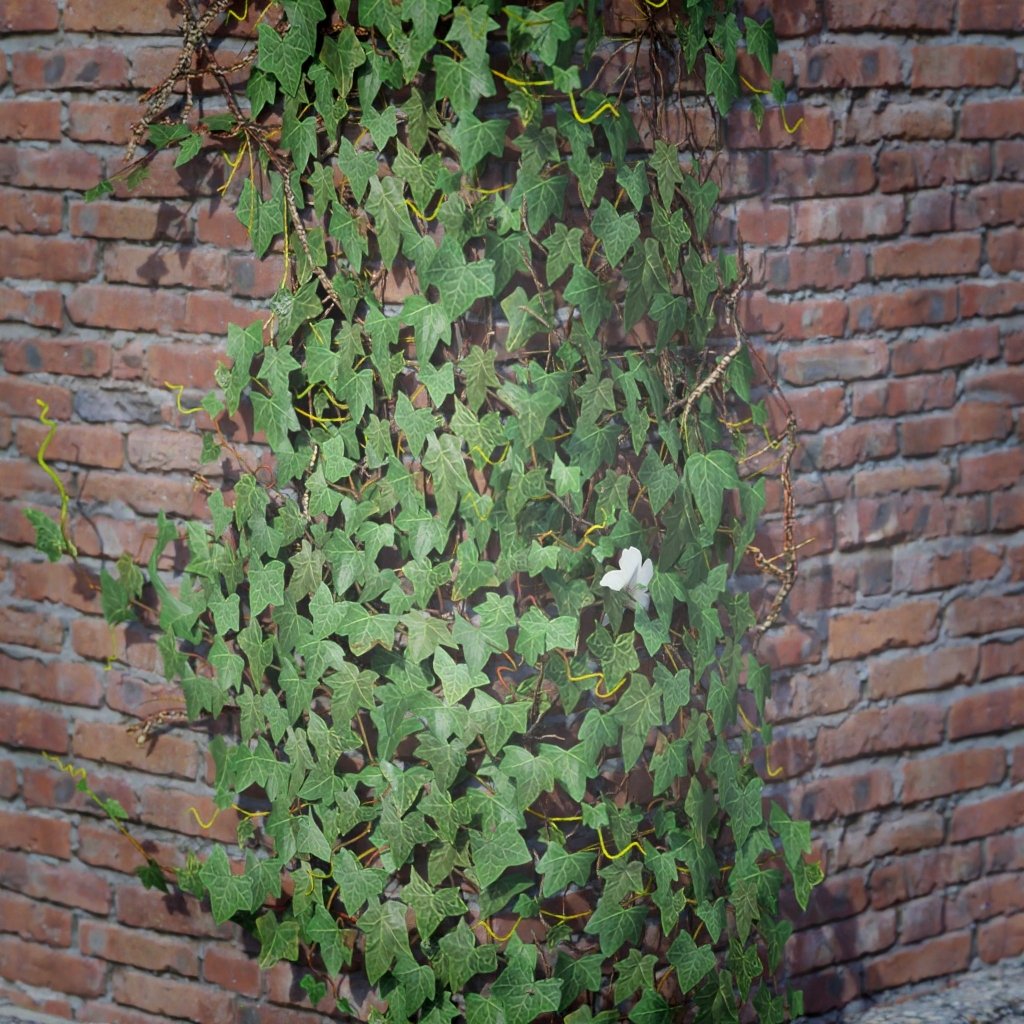 Ivy Creeper Wall Corner 2M 03 | Outdoor Plants models | BlenderKit