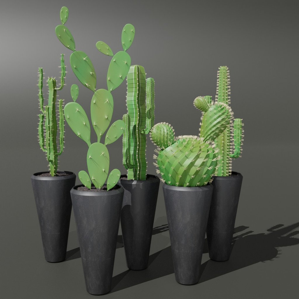 Cactus set 03 | Indoor Plants models | BlenderKit