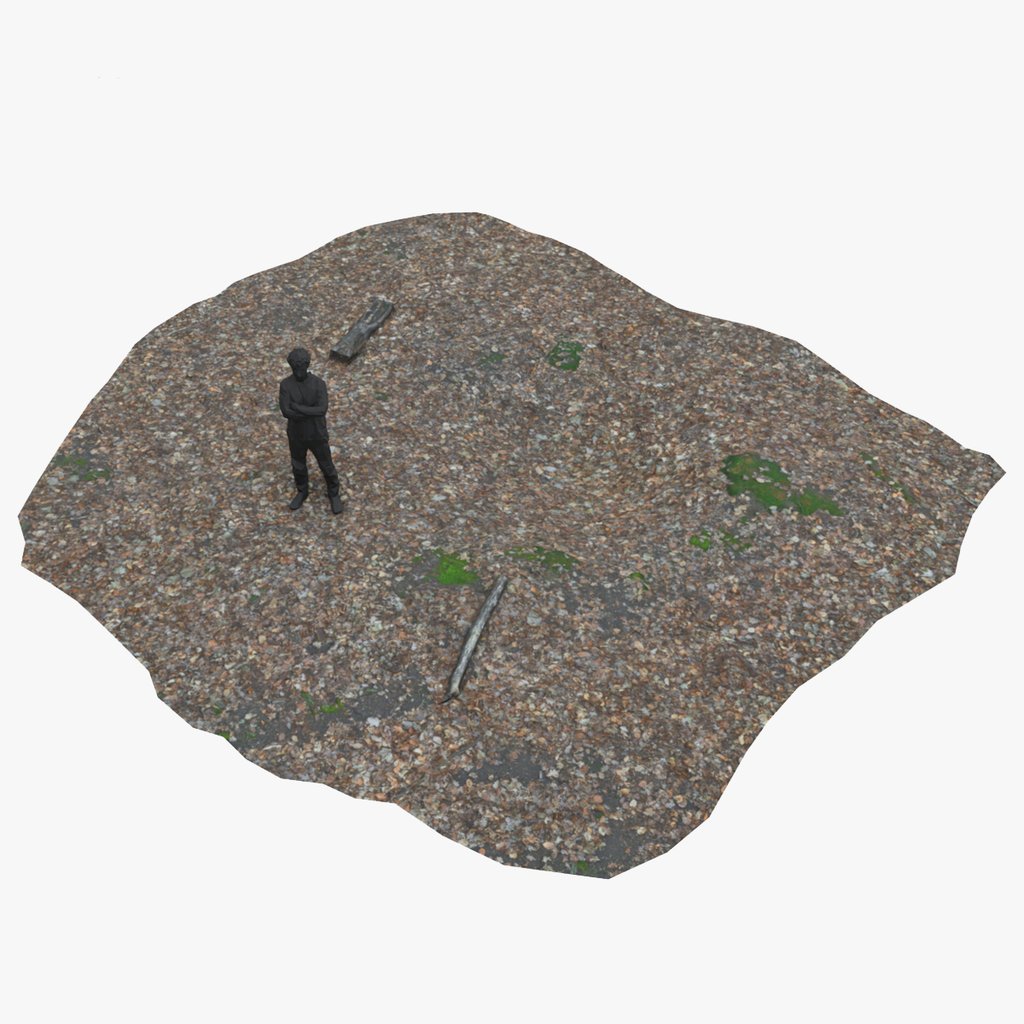 Forest Ground Leaves | Terrains models | BlenderKit