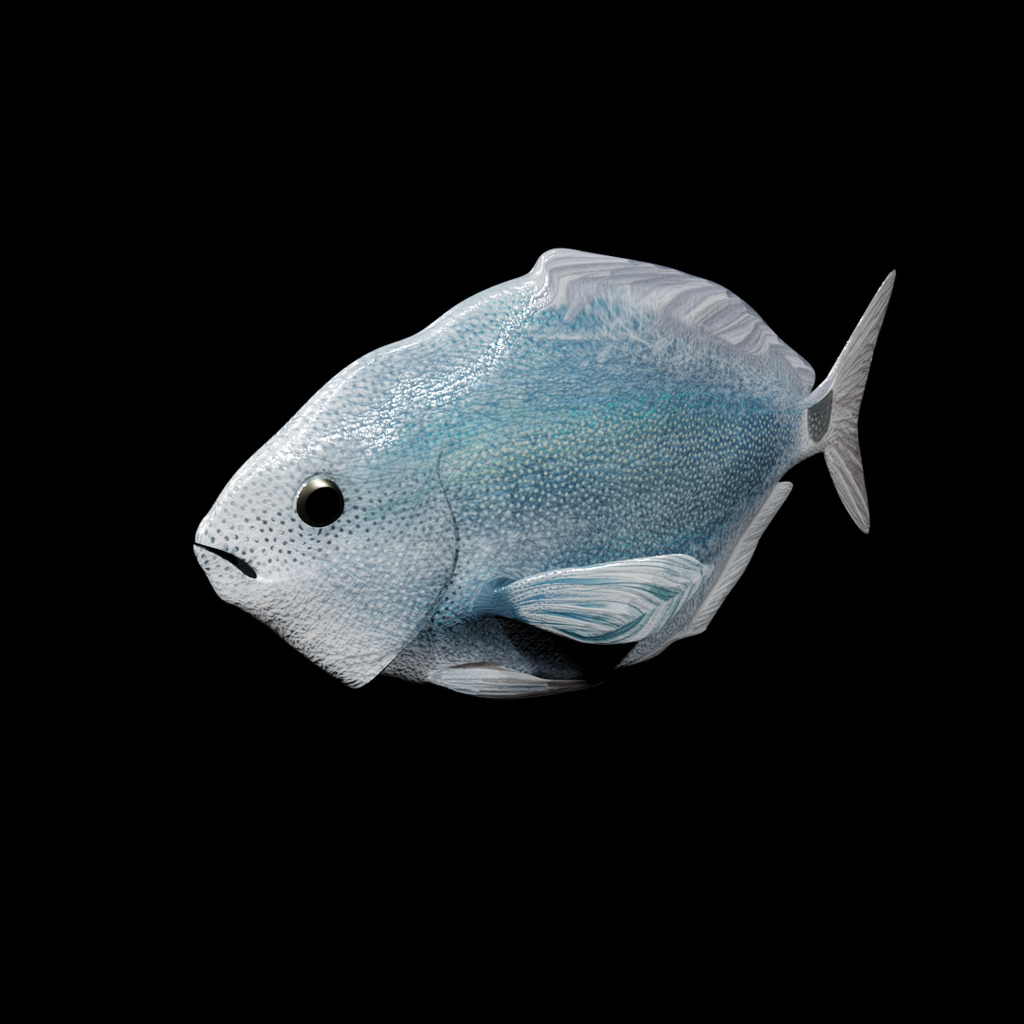 BlenderKit | Download the ANimated Mediterranean fish, Oblada model