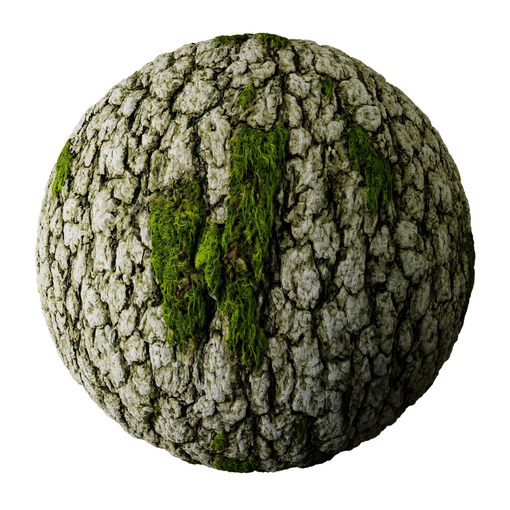 Tree Bark With Moss | FREE wood materials | BlenderKit