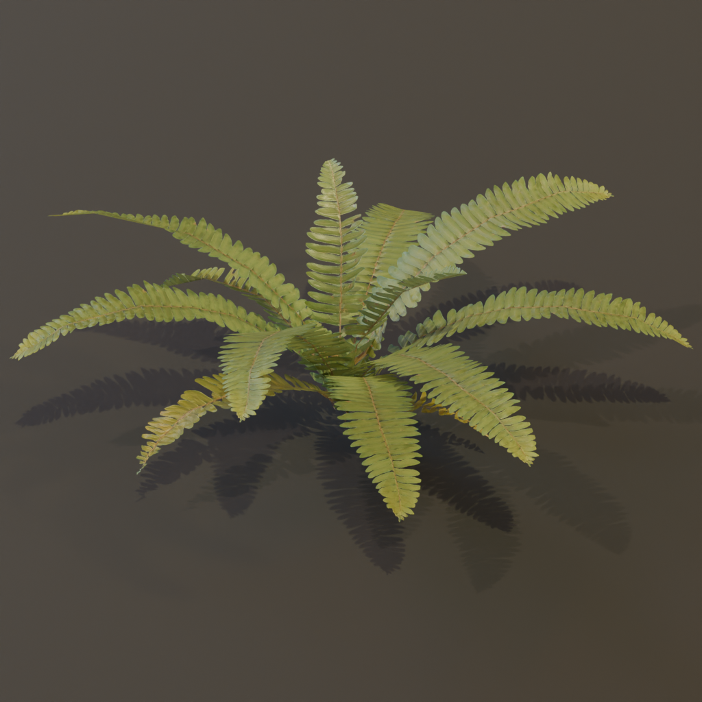 Generic Fern Med | Outdoor Plants models | BlenderKit