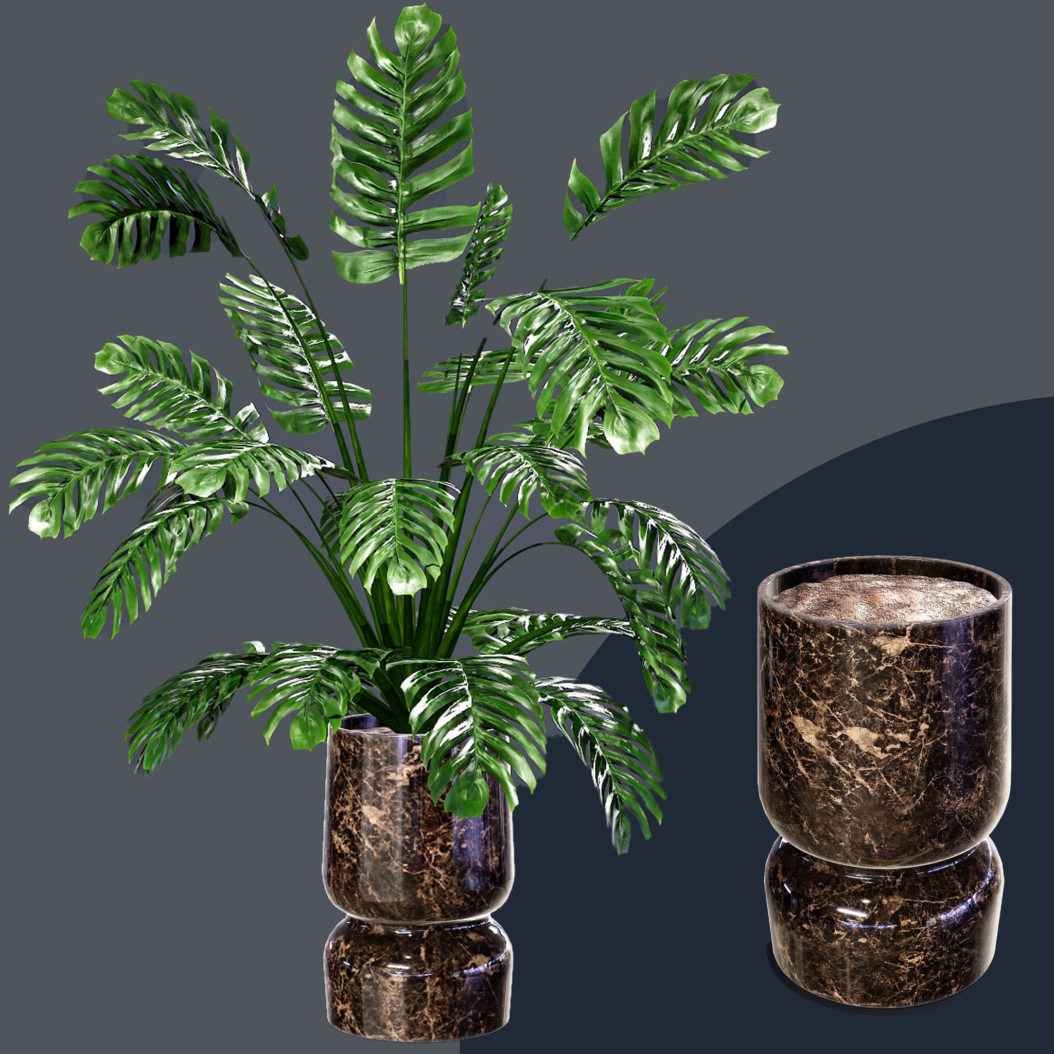 Monstera 04 | Indoor Plants models | BlenderKit