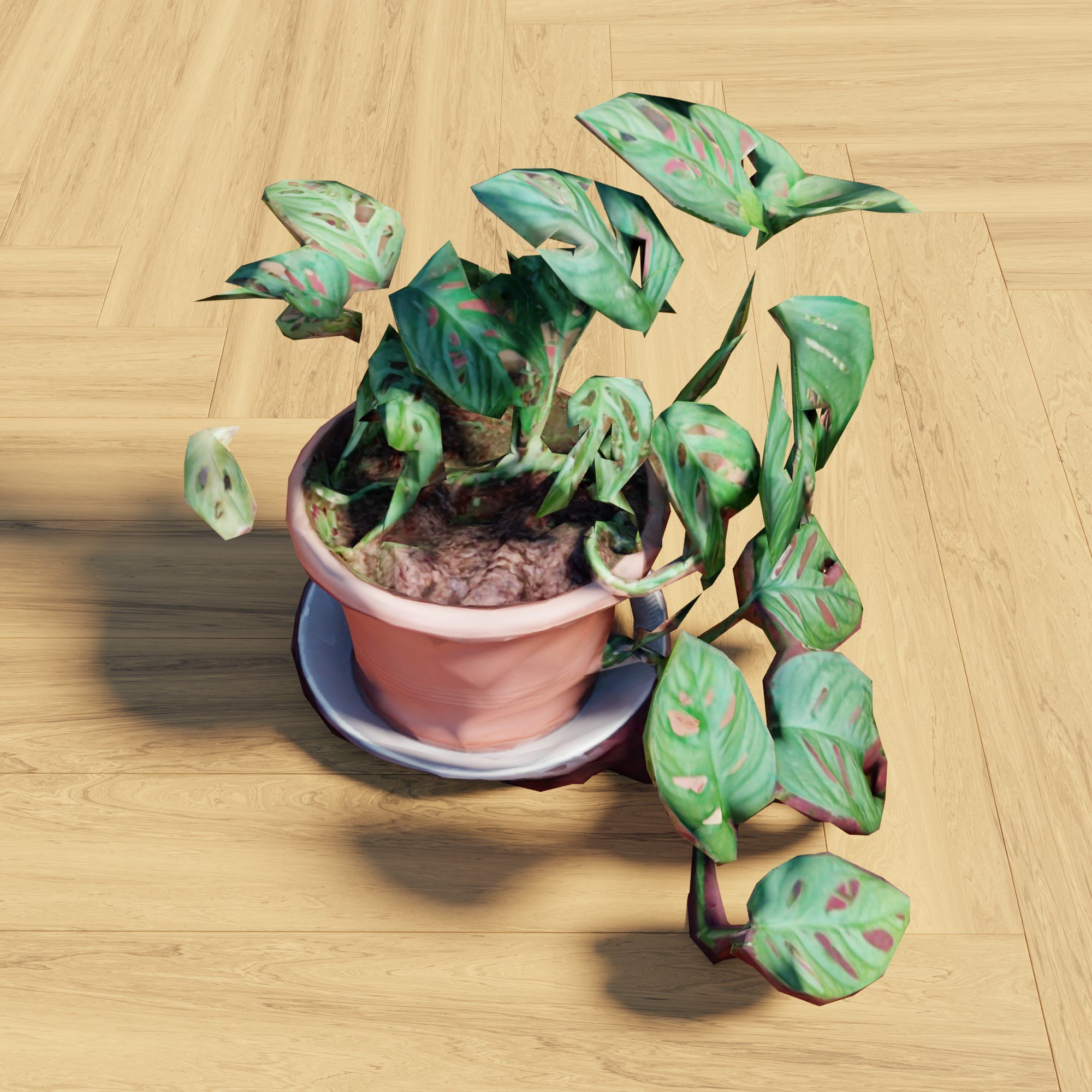 Monstera Low Poly Scan | FREE Indoor Plants models | BlenderKit