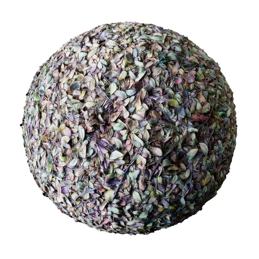 Fallen Small Leaf Surface | FREE wood materials | BlenderKit