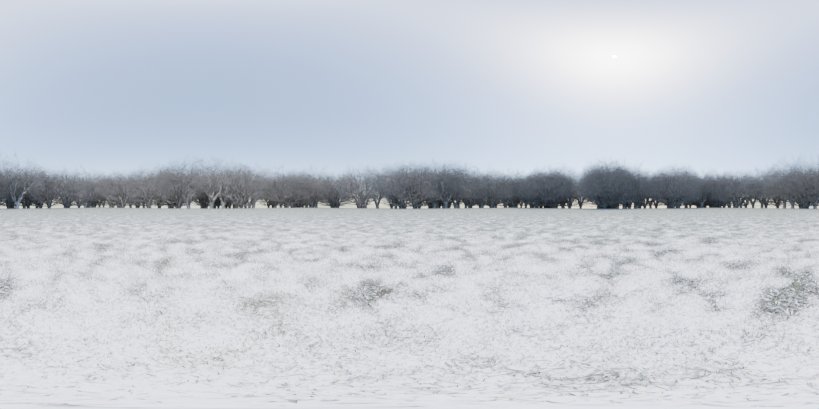 Winter Day | Nature HDRis | BlenderKit