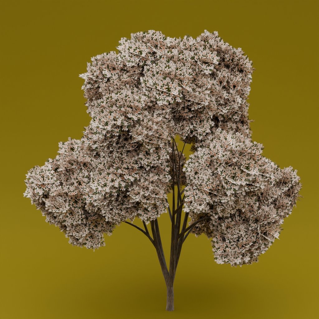 White flowered-light green leaved tree | Trees models | BlenderKit