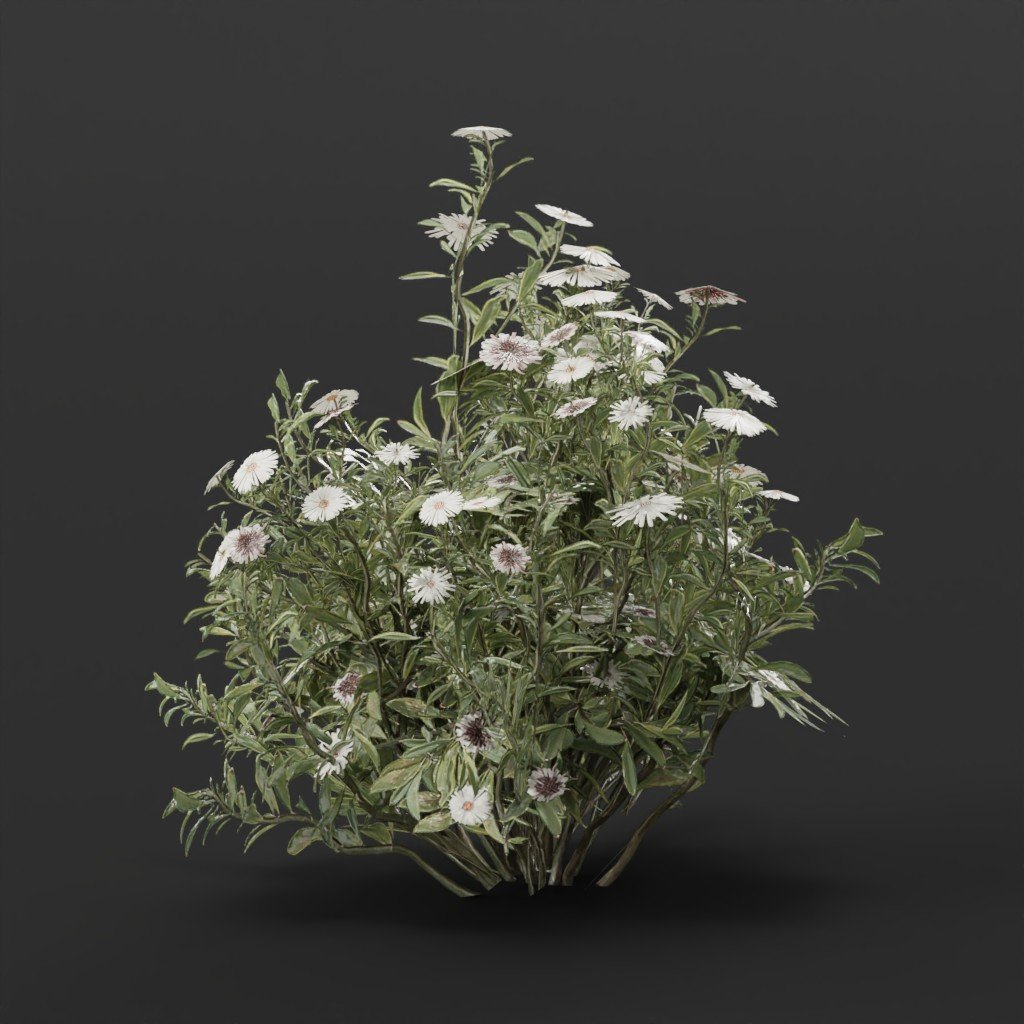 Flower Aster Small | Outdoor Plants models | BlenderKit