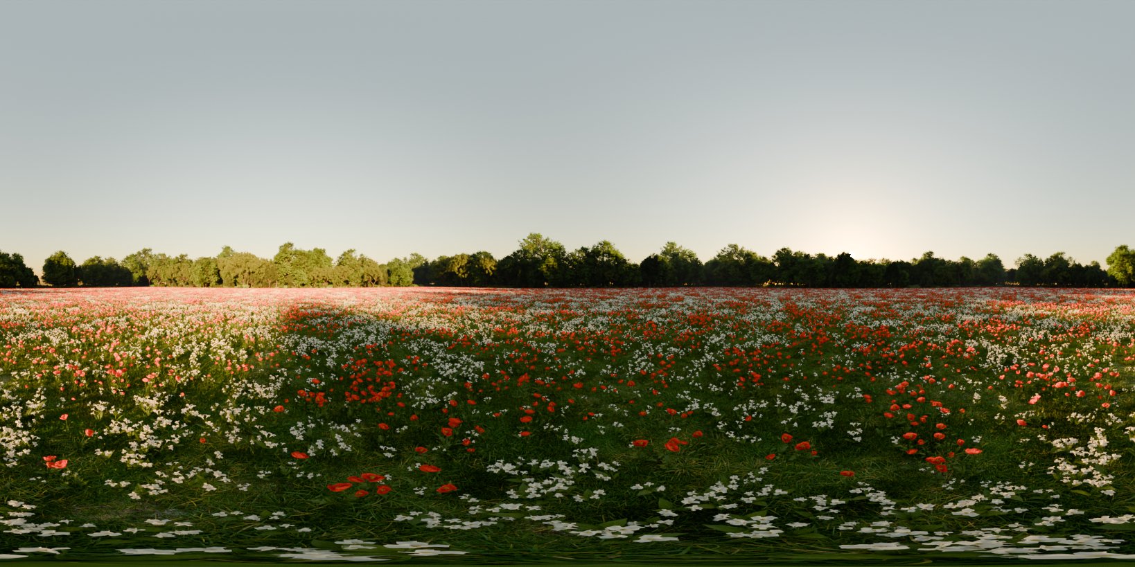 Flower Field Morning | Nature HDRis | BlenderKit