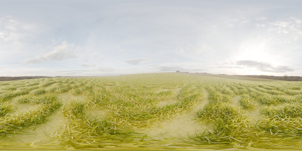 Sunny Grassland Field | FREE Nature HDRis | BlenderKit