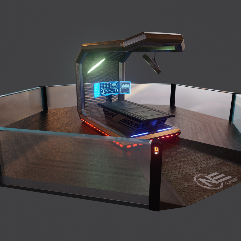 Stylized Human Brain | FREE Science models | BlenderKit