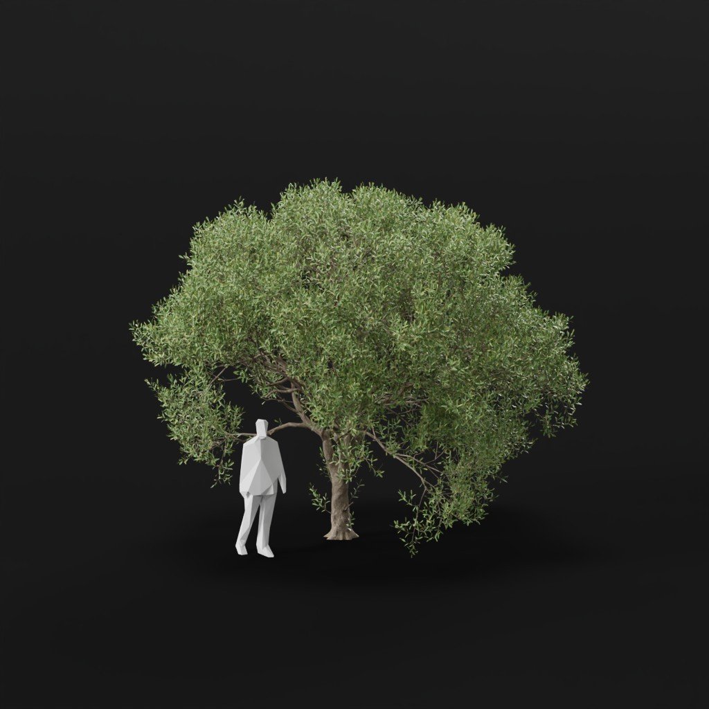 Olive Tree Adult | Trees models | BlenderKit