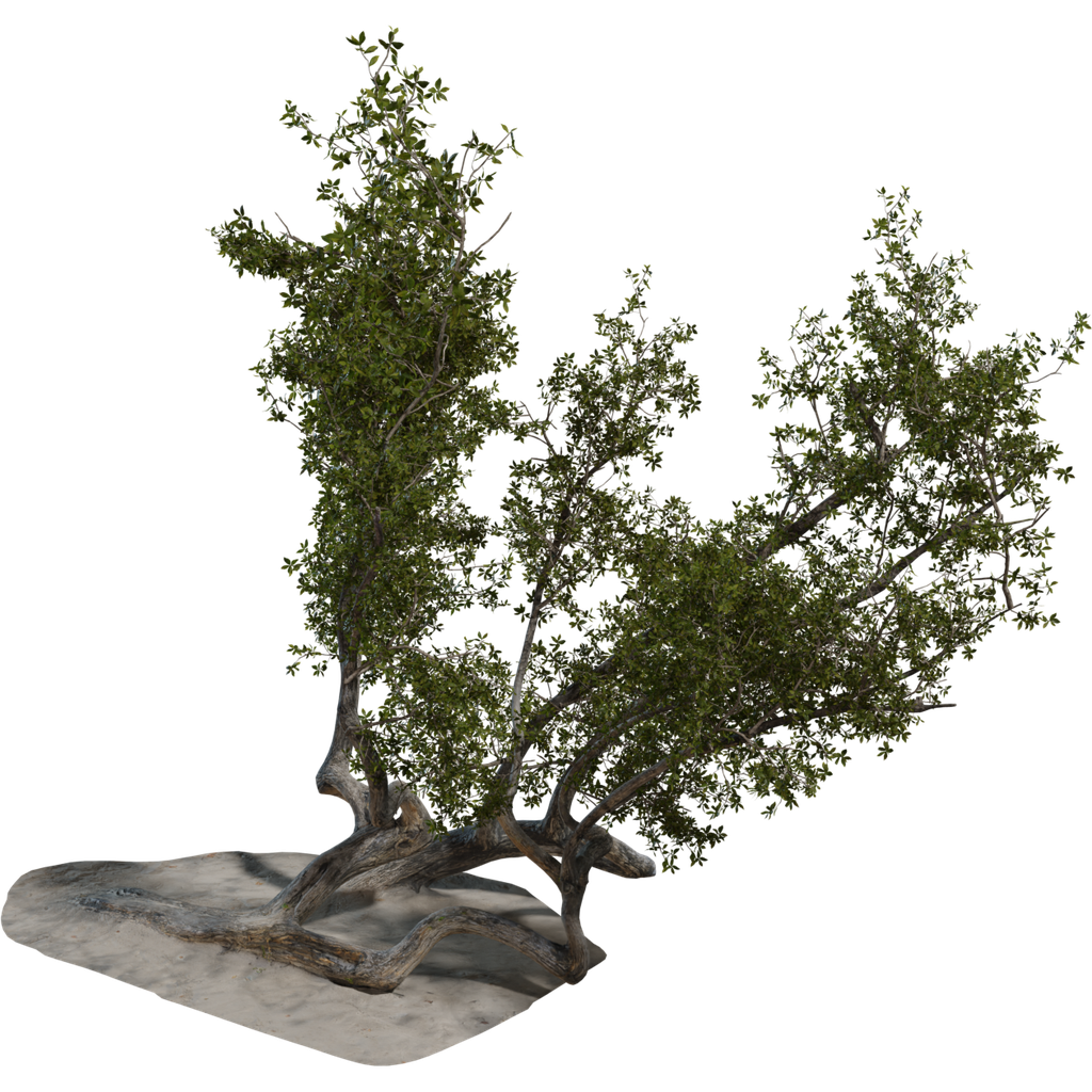 Cut log 04 - remeshed photoscan | FREE Trees models | BlenderKit