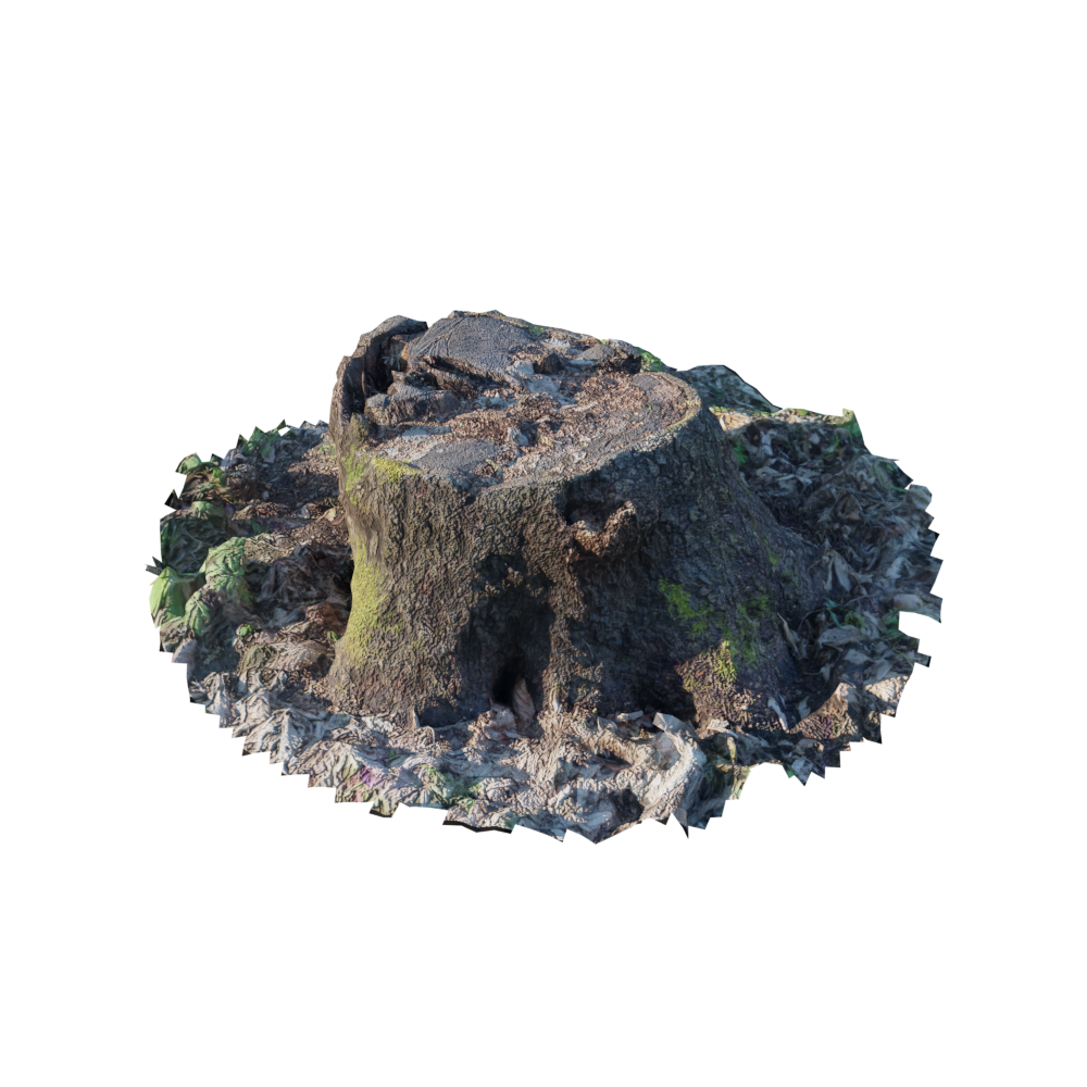 Stump 4 | Trees models | BlenderKit