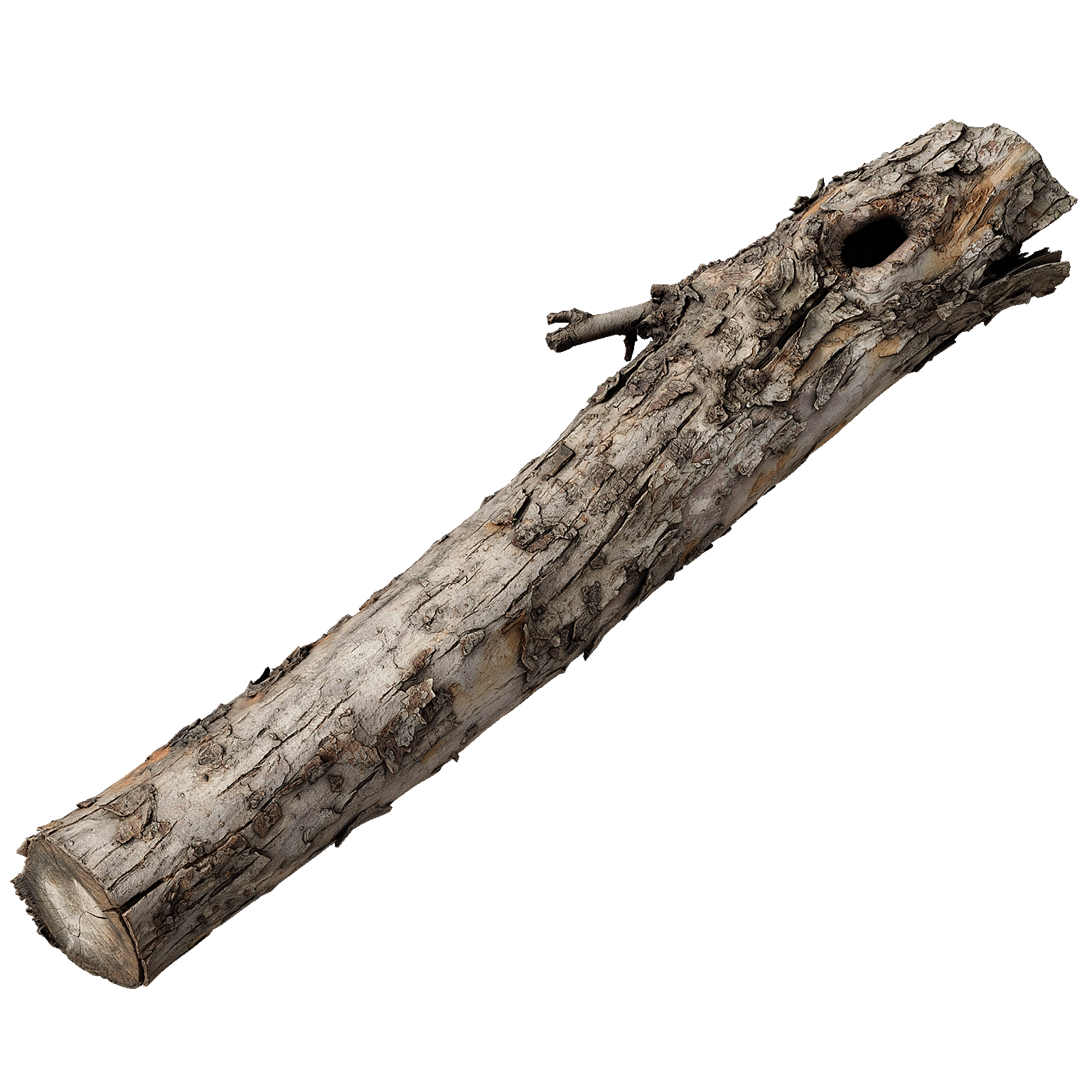 Log scan photogrammetry | Trees models | BlenderKit