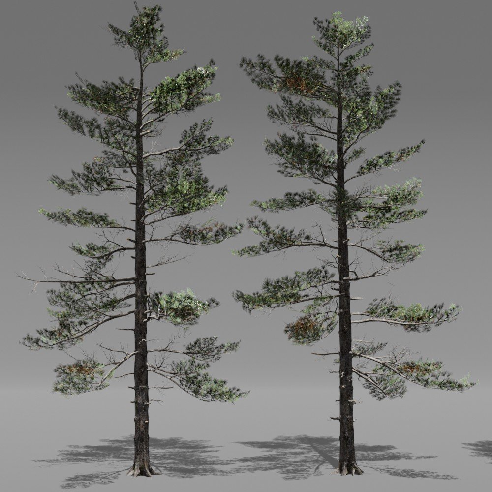 Cut log 04 - remeshed photoscan | FREE 3D Tree models | BlenderKit