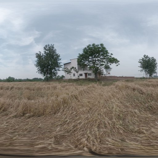 BlenderKit | Download the FREE Wheat Field hdr