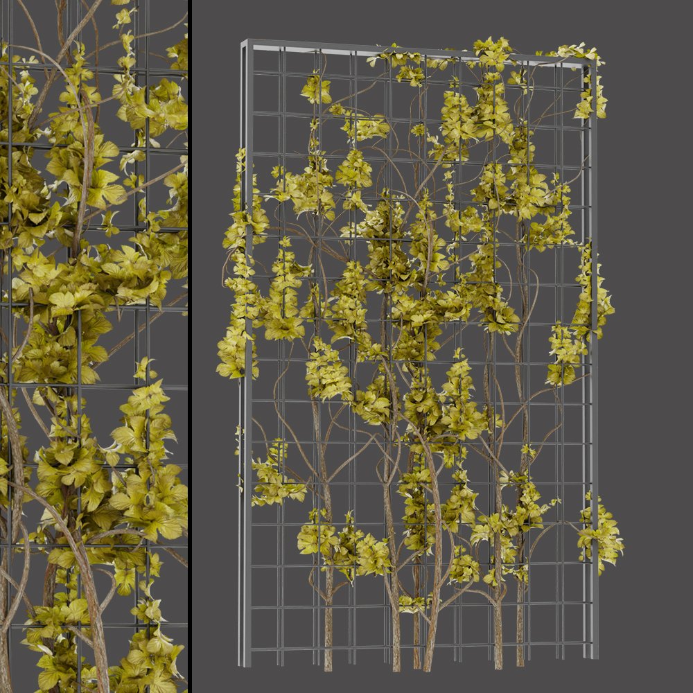 Autumn Green Wall Plant | Green Walls models | BlenderKit
