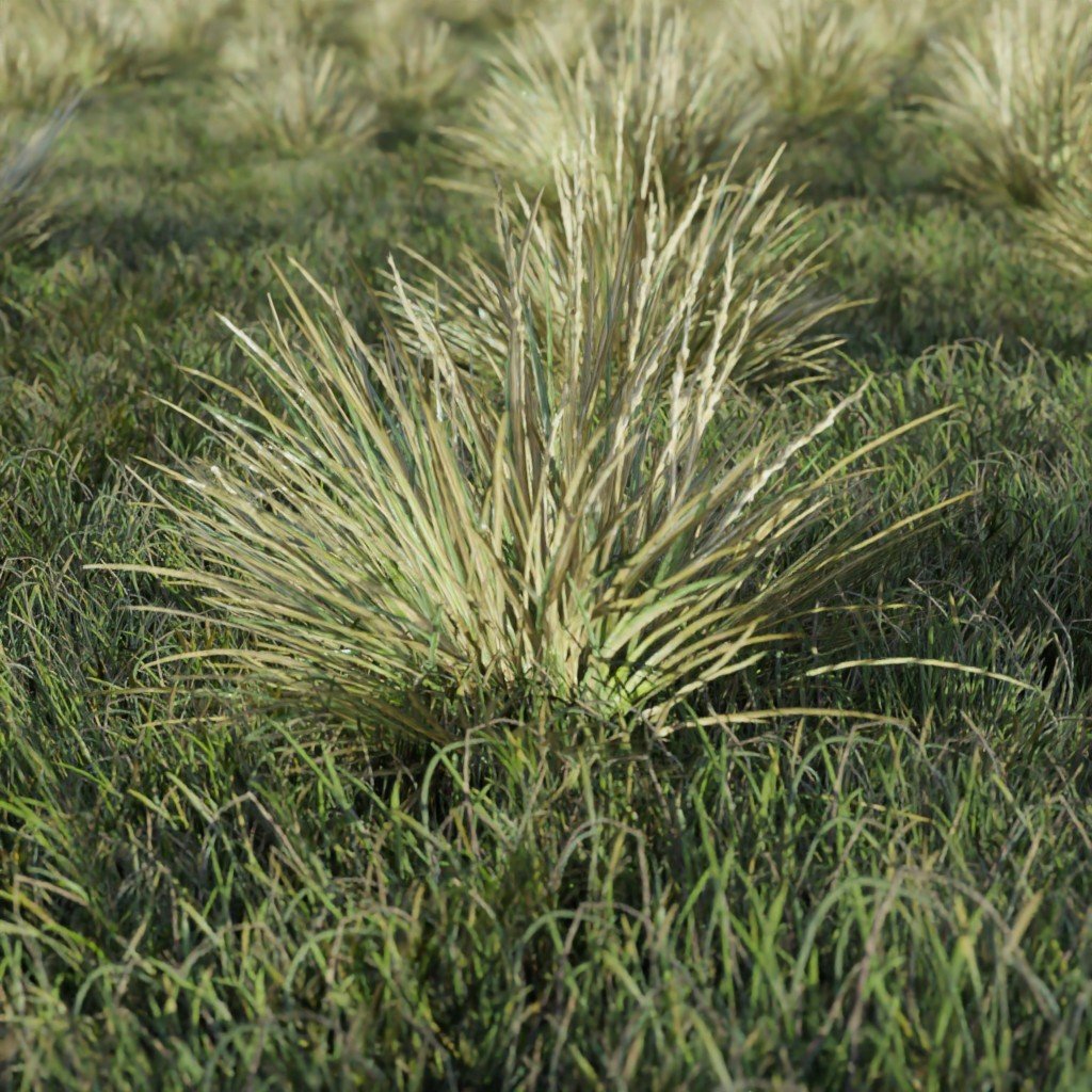 Grass Mix | FREE Grass models | BlenderKit