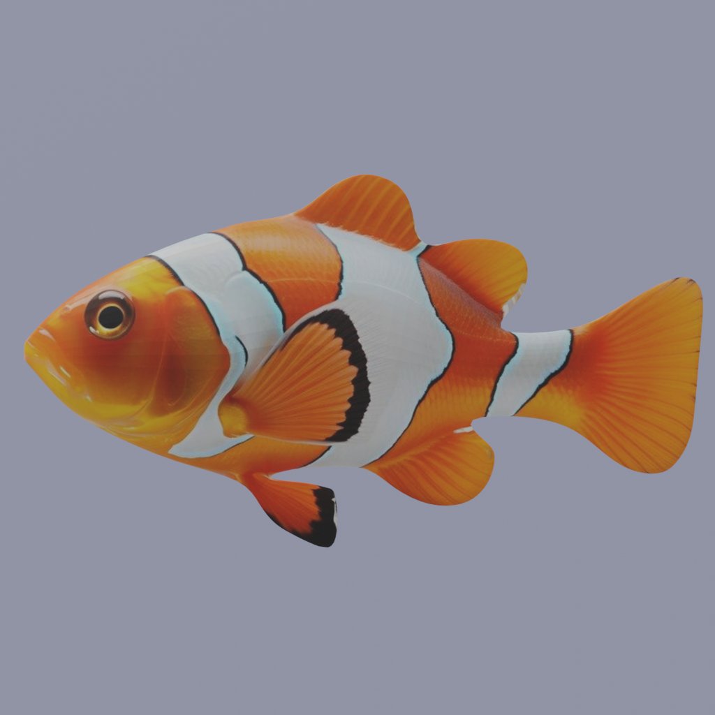 Fish Nemo | FREE Fish models | BlenderKit