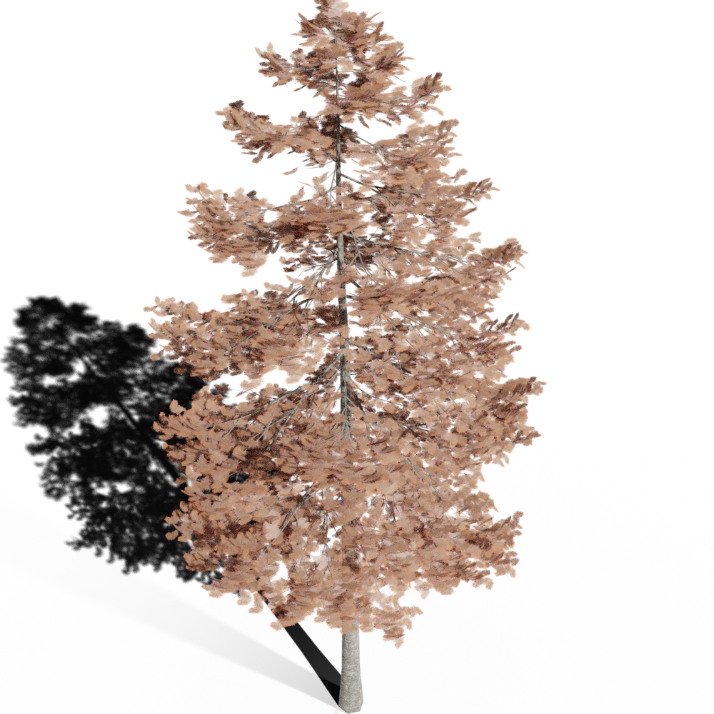 Tree Autumn | FREE Trees models | BlenderKit