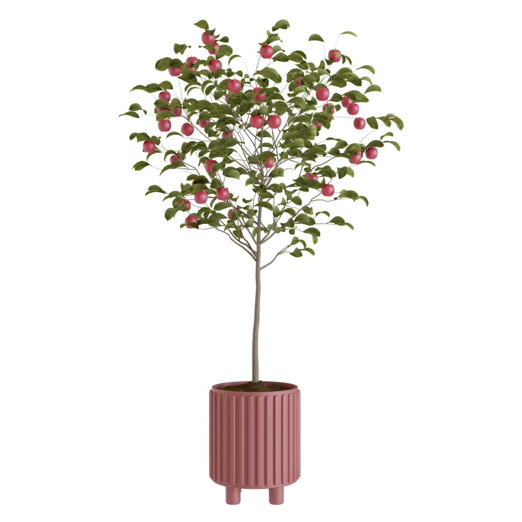 BlenderKit | Download the Fruit tree model