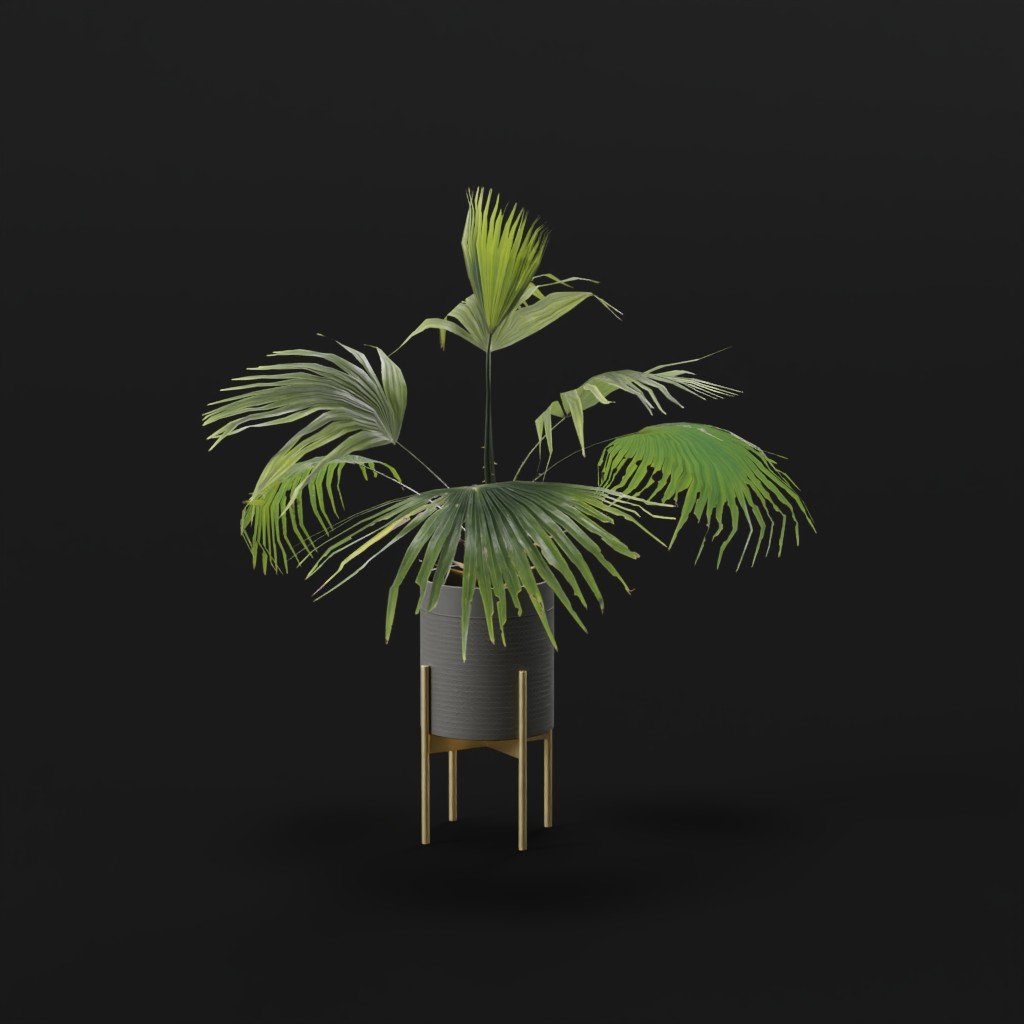 Fan Palm Small Potted | Indoor Plants models | BlenderKit