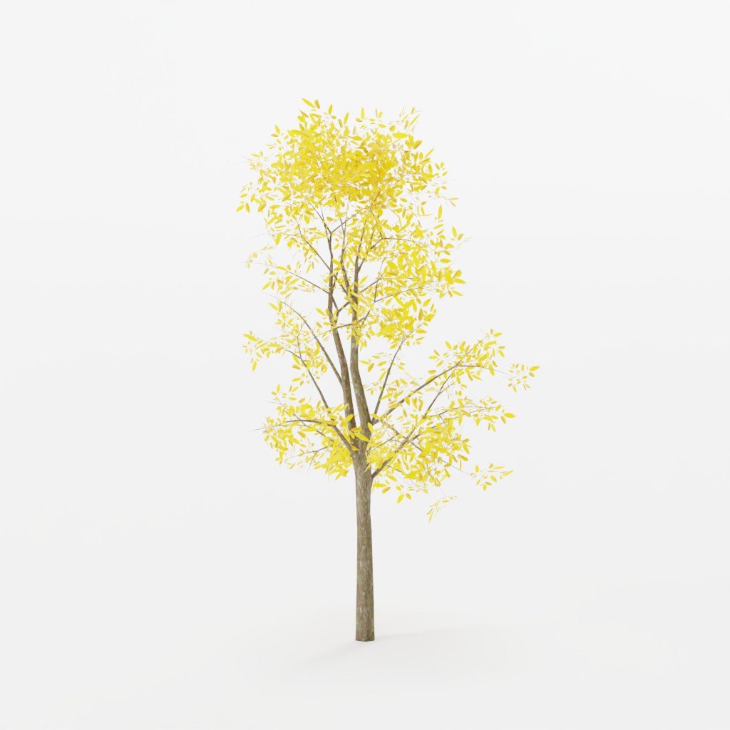 Tree01 | FREE Trees models | BlenderKit