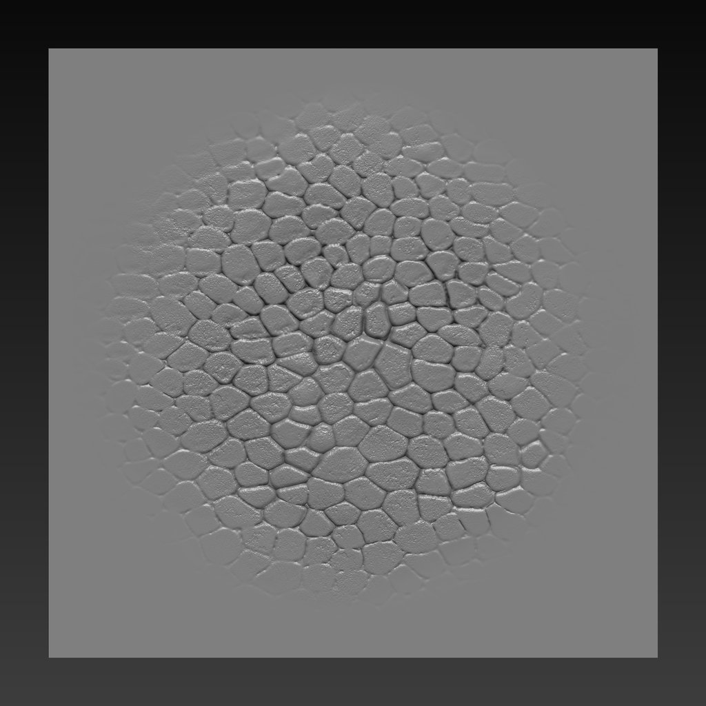 NS Reptile skin scales flat | Scales brushes | BlenderKit