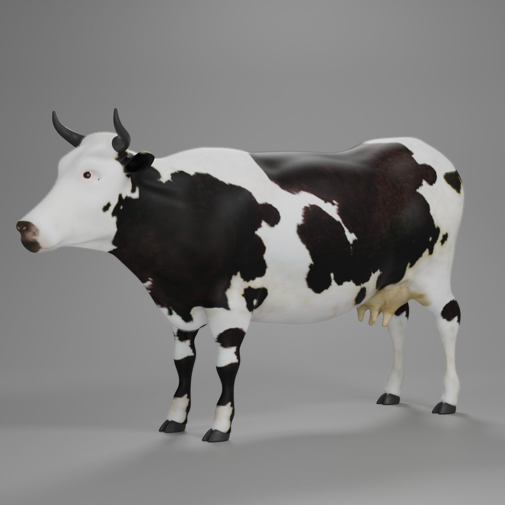 BlenderKit | Download the Dairy cow model