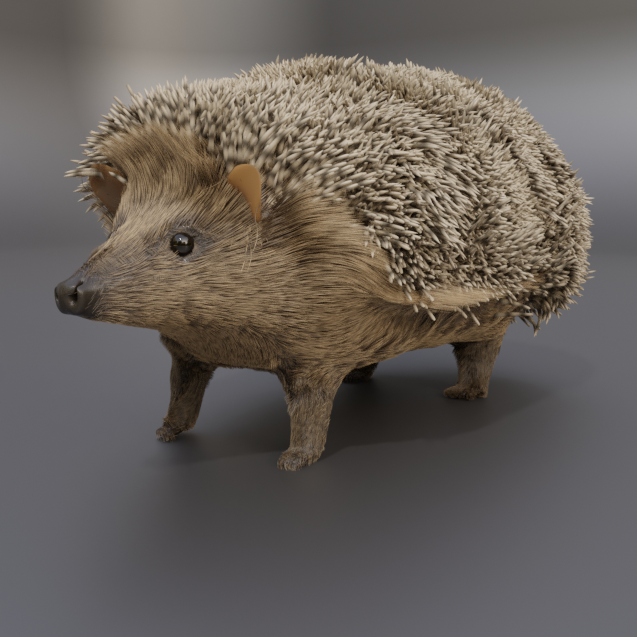 Hedgehog | Animals models | BlenderKit