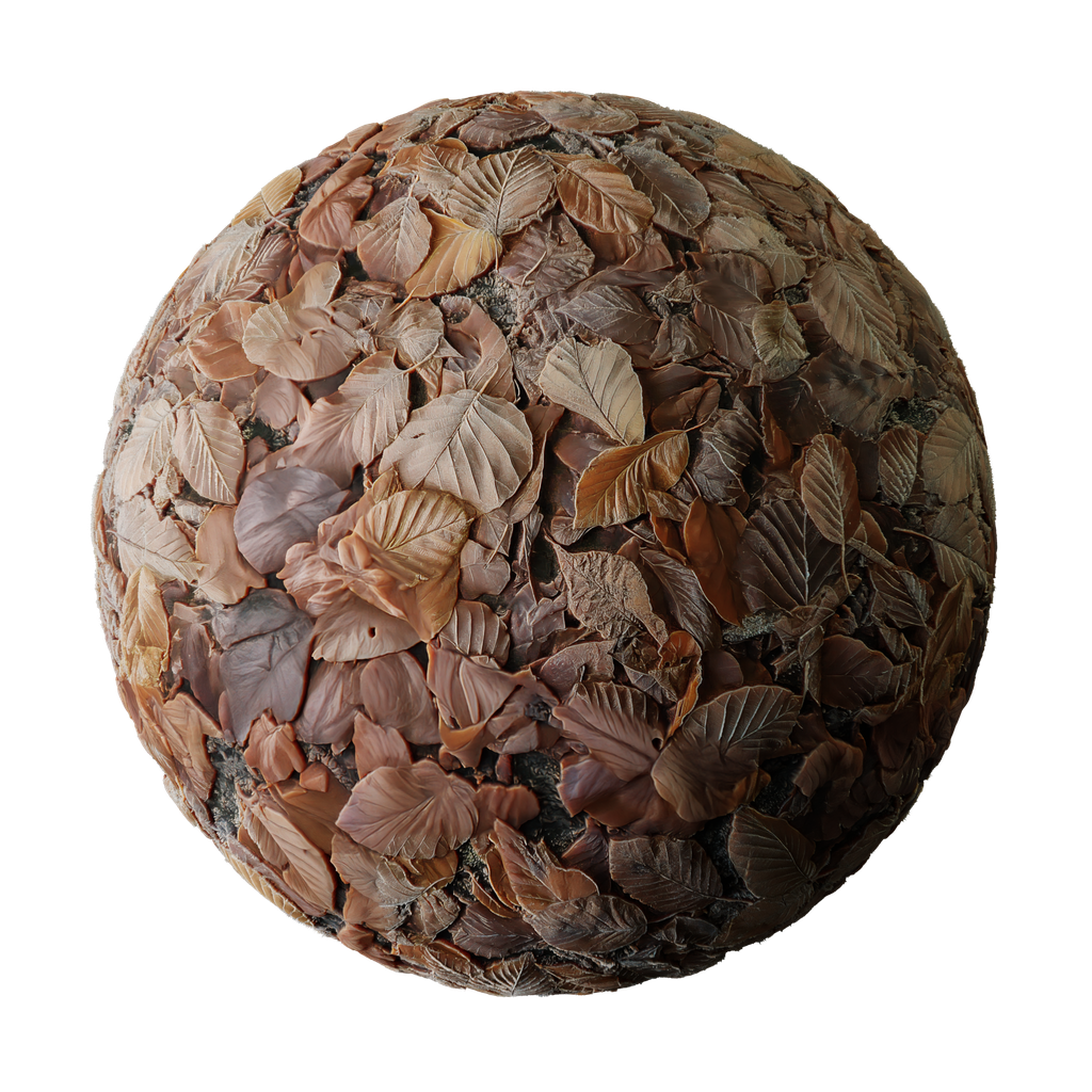 Brown leaves | FREE organic materials | BlenderKit