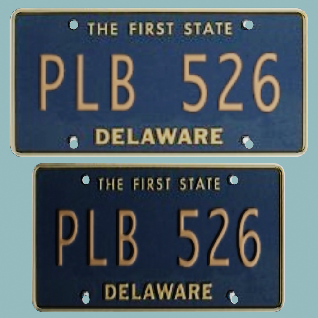 Delaware Licence plate PL | FREE Vehicle Parts models | BlenderKit