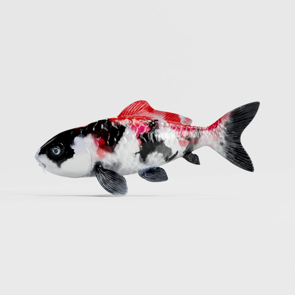 Koi Fish Showa Sanshoku Swimming | Fish models | BlenderKit