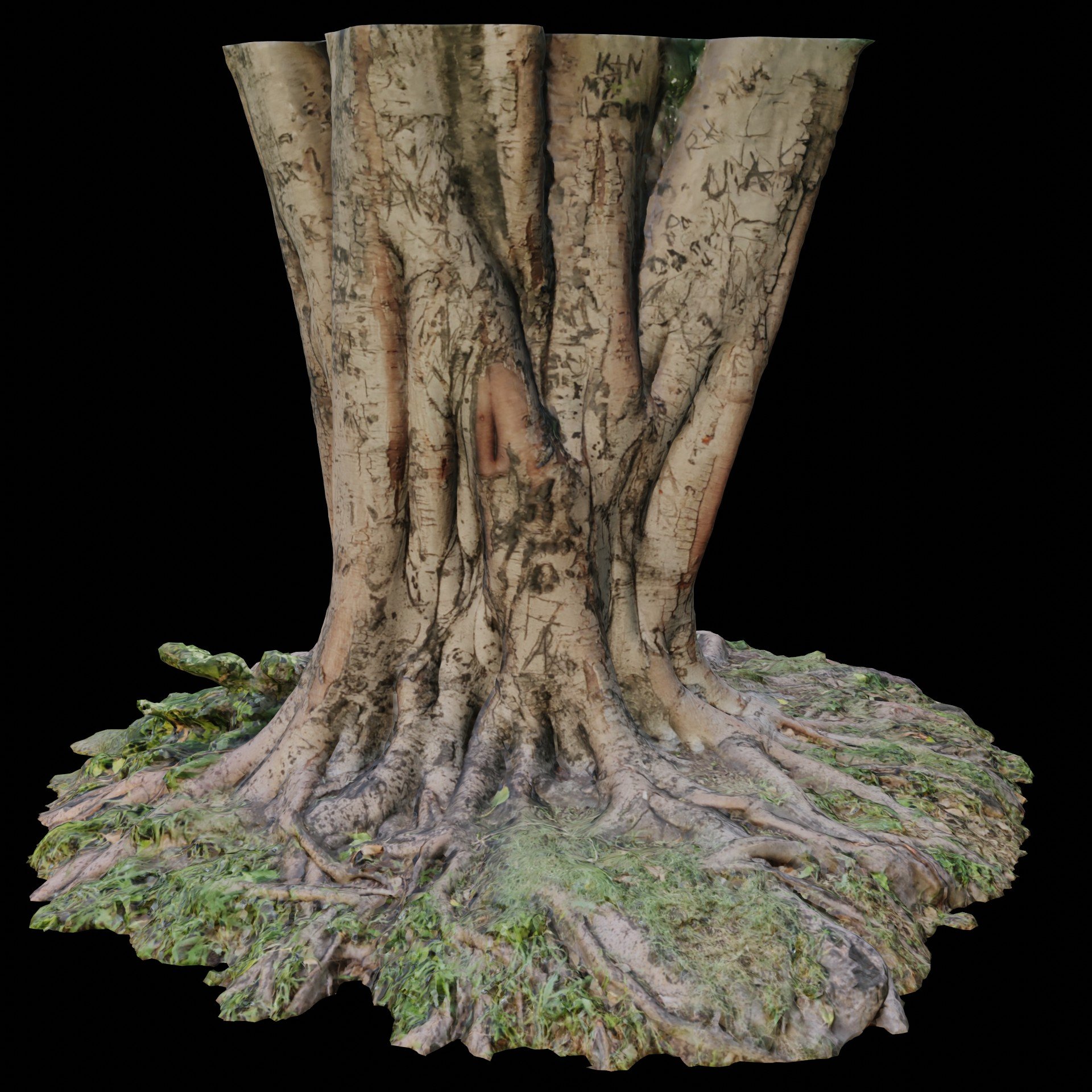 Tree | FREE Trees models | BlenderKit