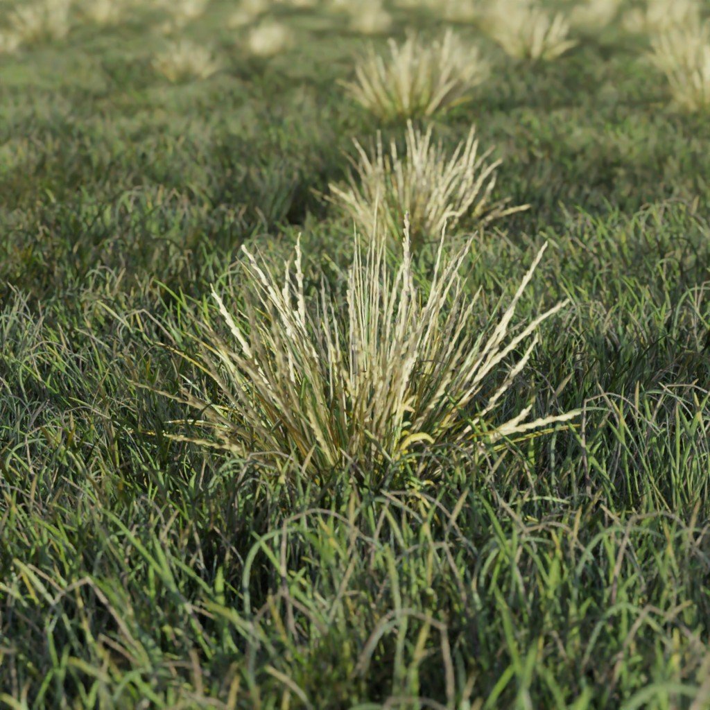 Grass Mix | FREE Grass models | BlenderKit