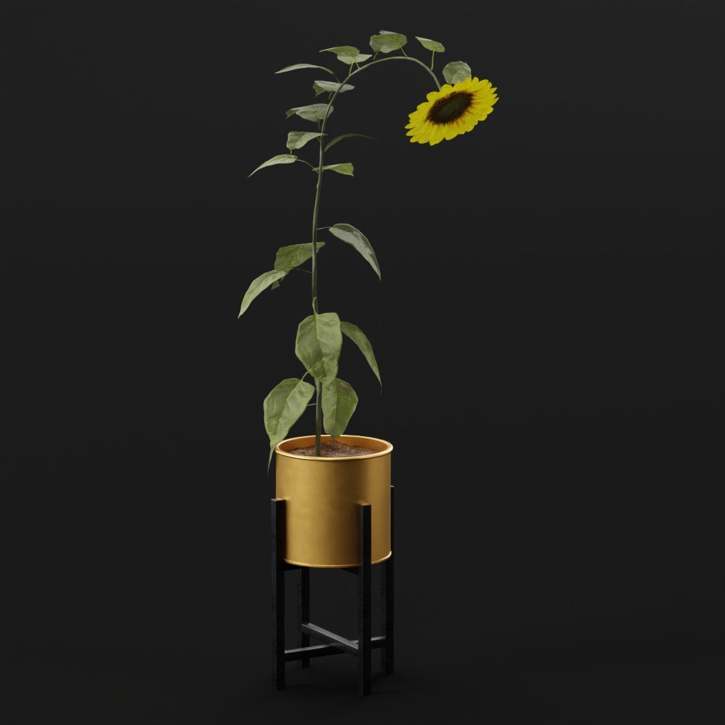 Flower Sunflower High Pot | Indoor Plants models | BlenderKit