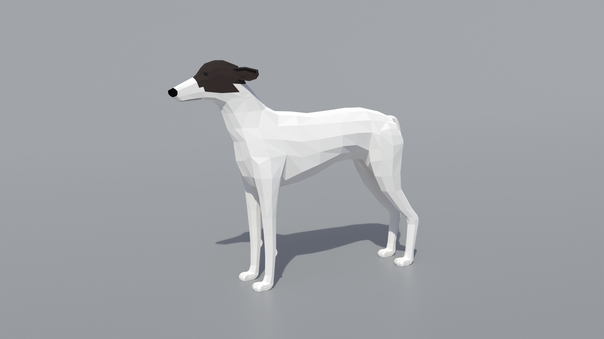 Low Poly Greyhound Dog | Mammals models | BlenderKit
