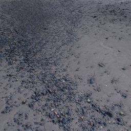 Sandy and Rocky Beach | Terrains models | BlenderKit